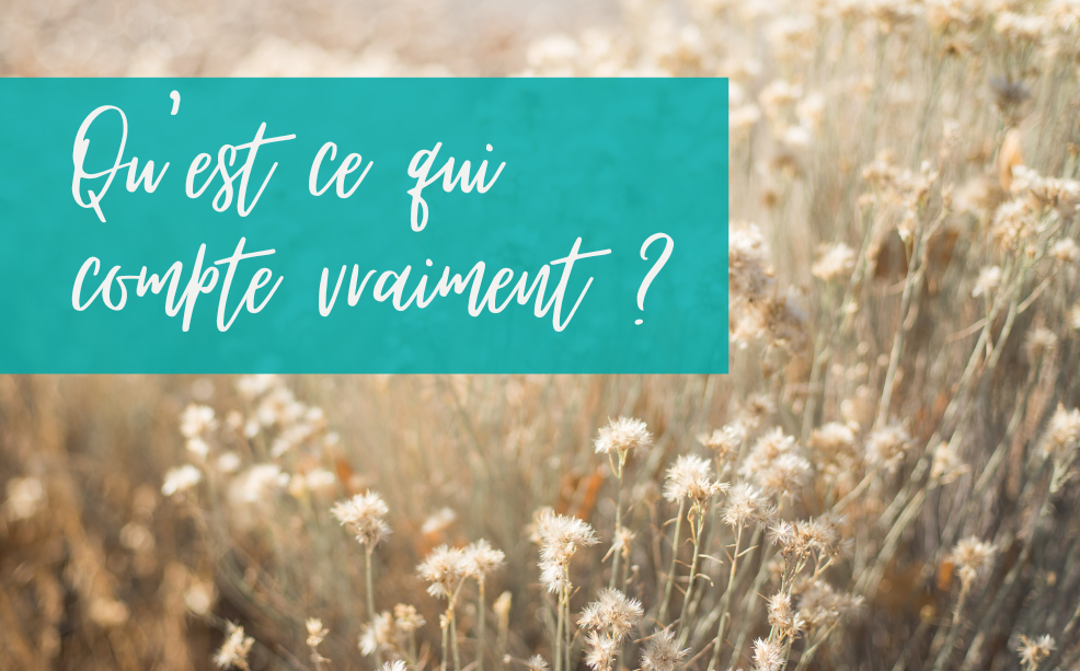 QU'EST-CE QUI COMPTE VRAIMENT ? •